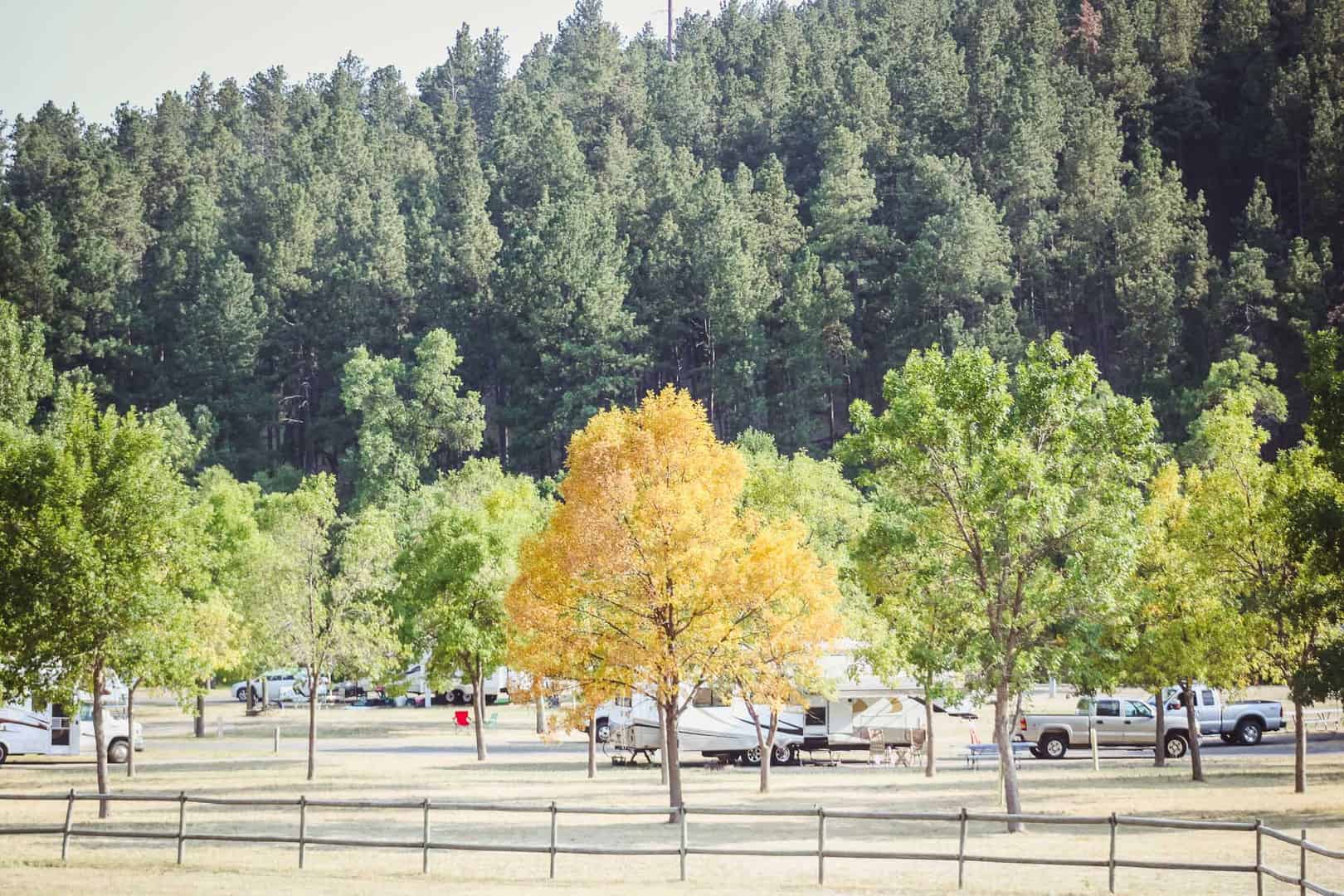 15 Best Things to do in Custer State Park, South Dakota