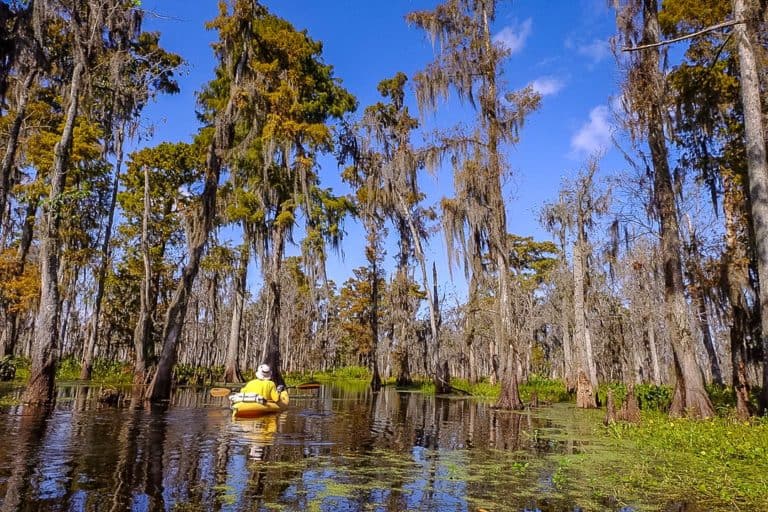 22 Amazing Things to do in Louisiana Now - Dotted Globe