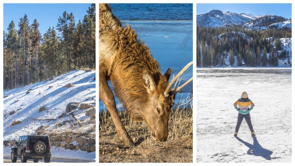 20 Delightful Things to do in Estes Park in the Winter: The Ultimate ...
