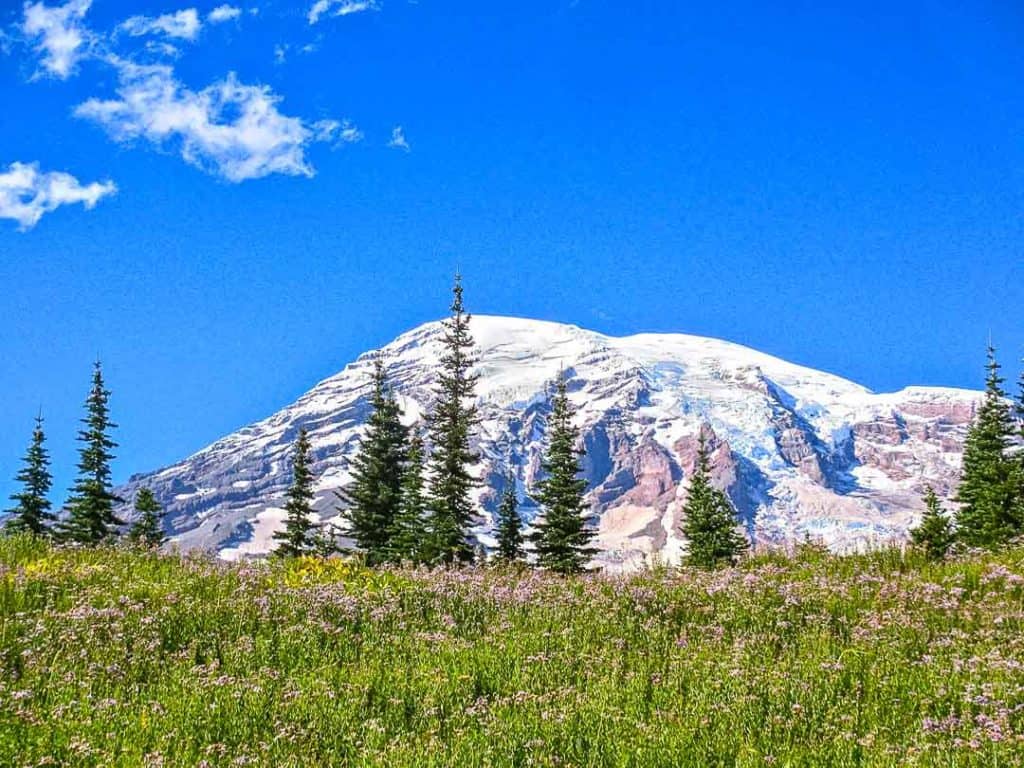 20 Best Destinations for experiencing stunning spring flowers in the US ...