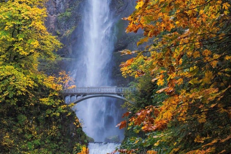 9 Best Places To See Fall Foliage In September Dotted Globe