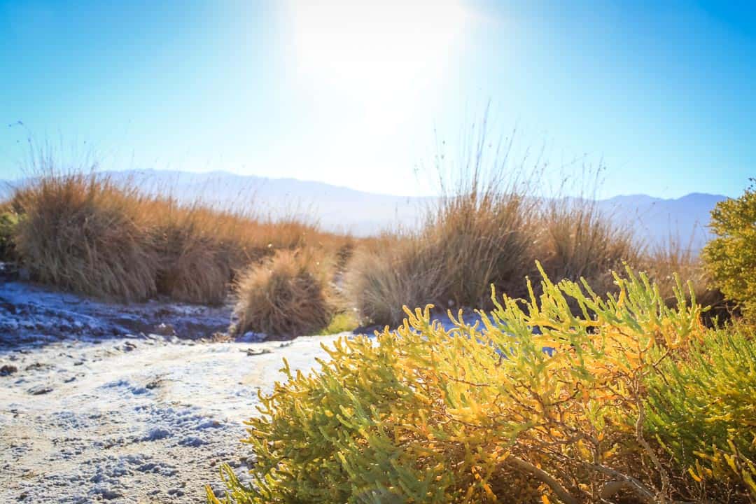 14 Best Things to do in Death Valley National Park, California