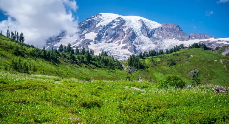 Seattle Travel Guide: 3 to 5 Day Itinerary Ideas to explore the Emerald ...