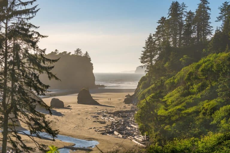 24 Awesome Stops on Olympic Peninsula Loop Road Trip - Dotted Globe