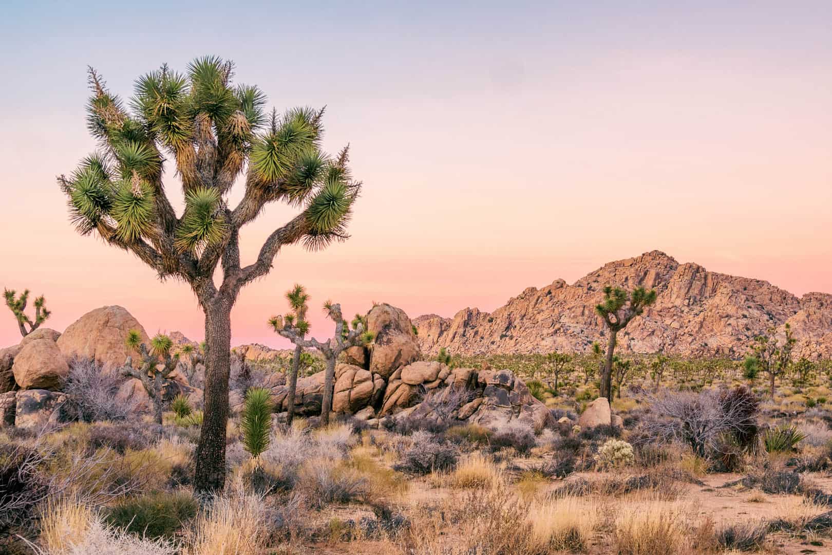 Ultimate California Road Trip: Ideas for 7, 10 & 15 Days Itineraries